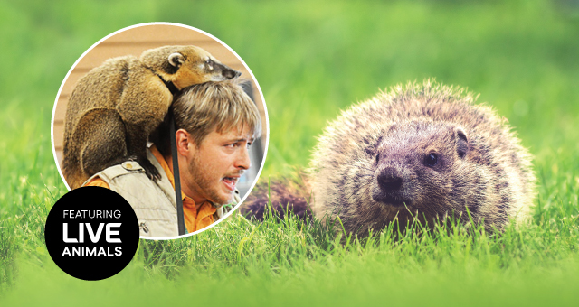 Kids Summer Reading Program | Indianapolis Public Library